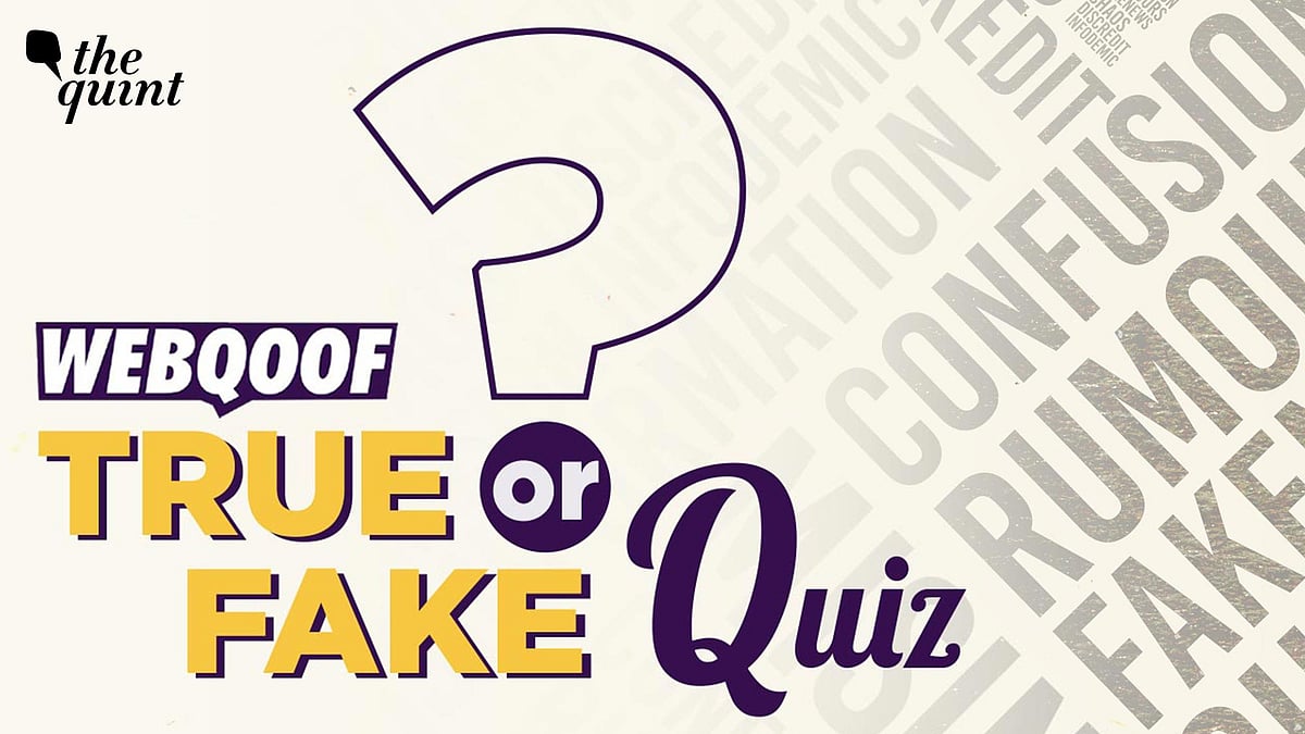 WebQoof Weekend Quiz | How Much Fake News Did You Fall For? Take Our ...