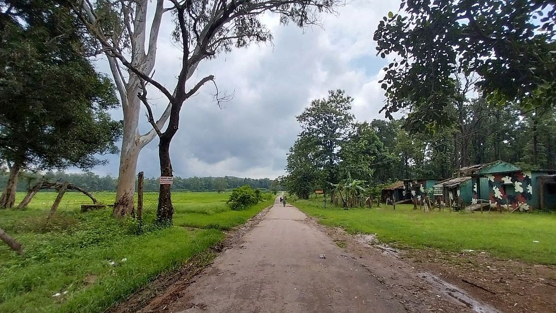 In Photos: Life at Chhattisgarh's Achanakmar Tiger Reserve With ...