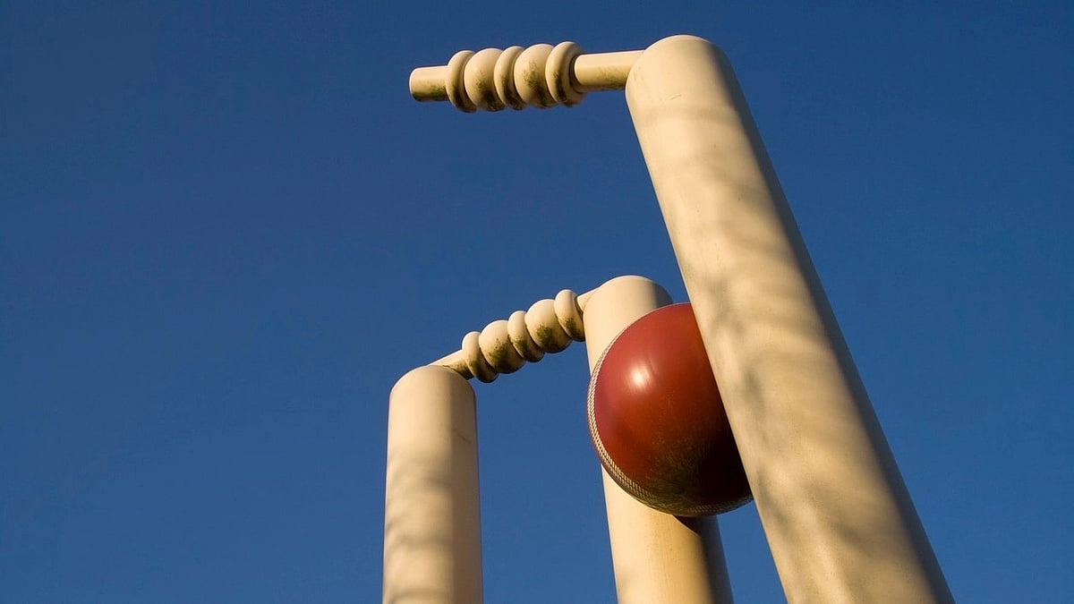 Australia vs Afghanistan World Cup 2023: Date, Time, Venue & Live Streaming