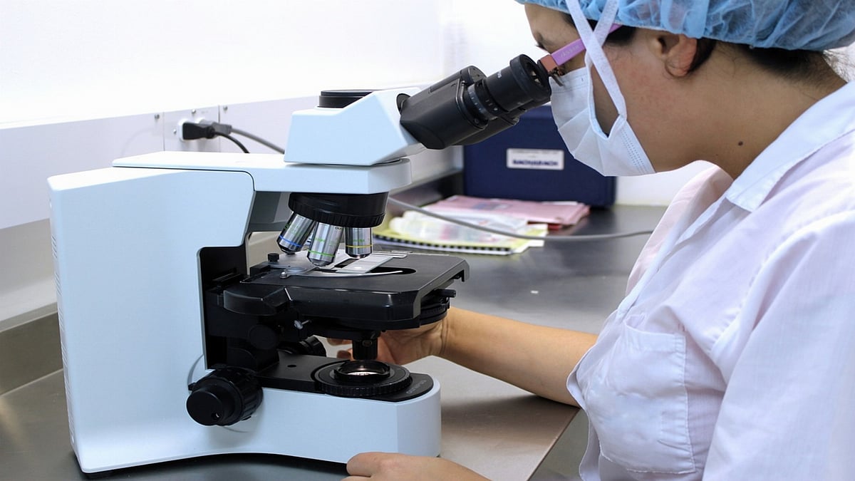 Unlocking Growth Hormone Research: Exploring Tesamorelin and Ipamorelin ...