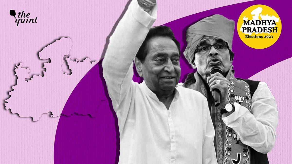 MP Elections 2023: All 230 Seats Are Hotly Contested, But These 6 Stand Out