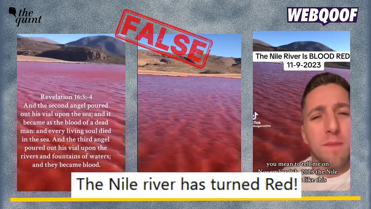 Fact-check | No, Nile River Did Not Turn Red; Video Shows Laguna Roja ...