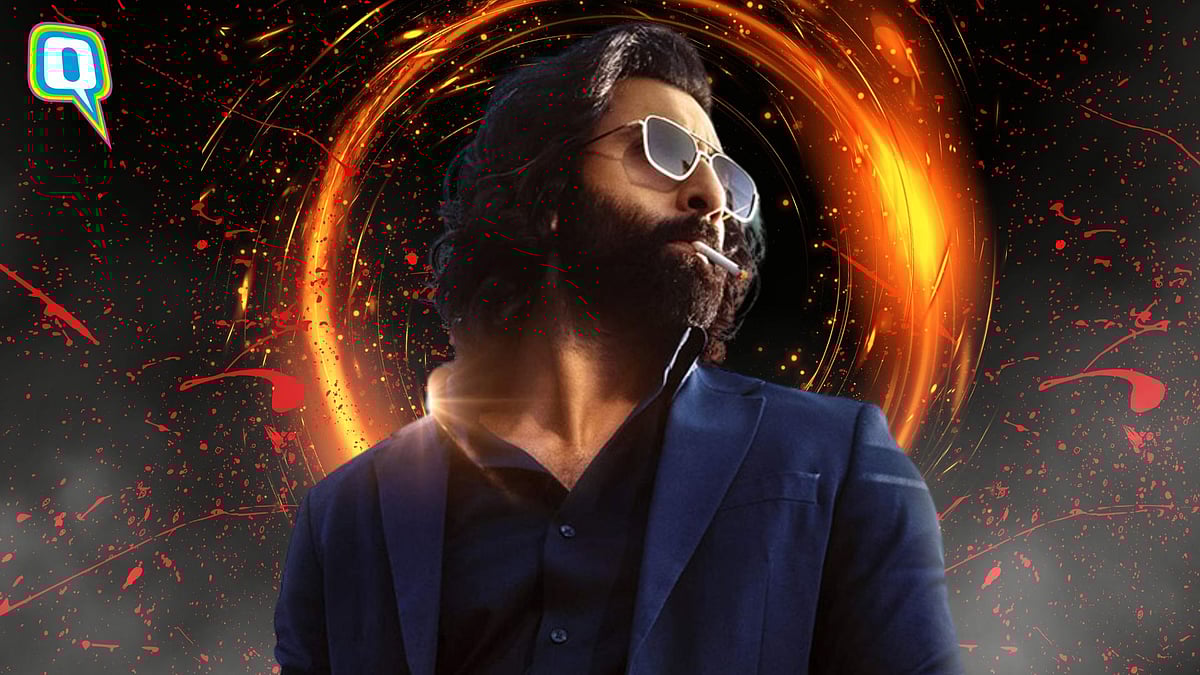 We Tried to Edit Ranbir Kapoor’s ‘Animal’ on Paper and Here’s ...