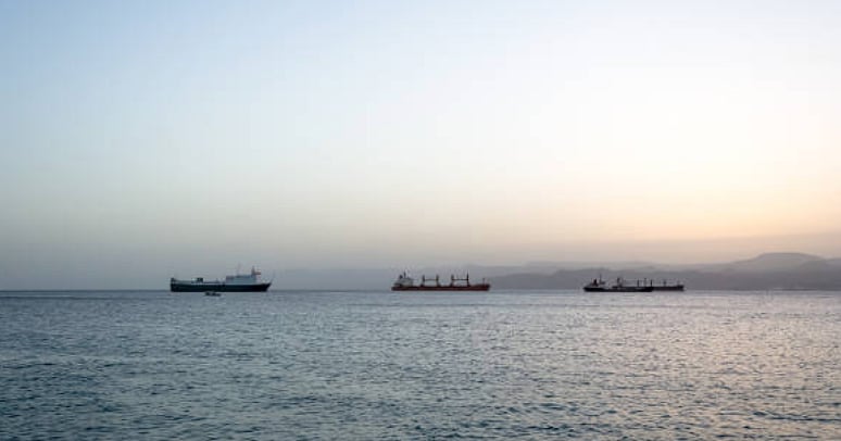 The Red Sea Has Become Extensively Militarised. An Immediate Ceasefire ...