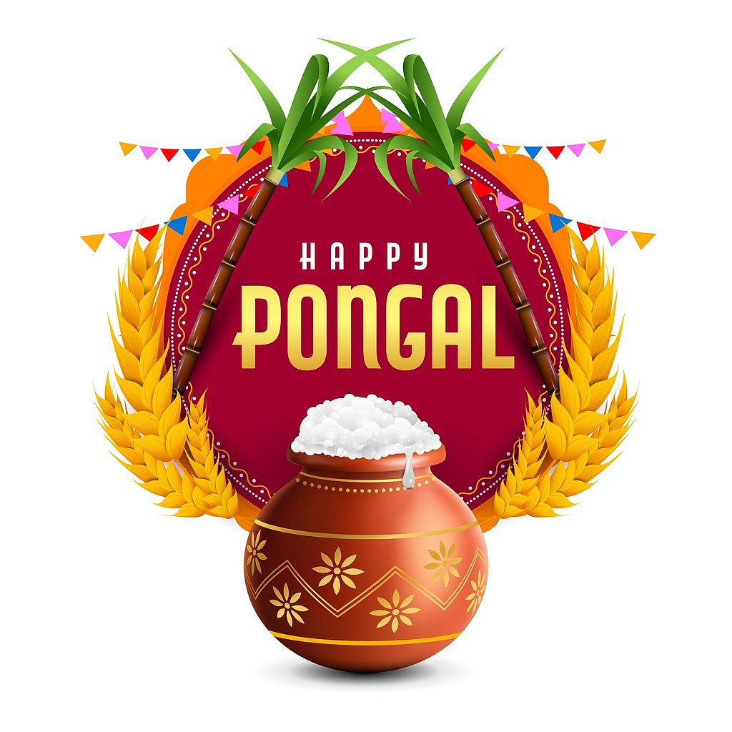 Happy Pongal 2024: Images, Wishes, Quotes and WhatsApp Messages To Share