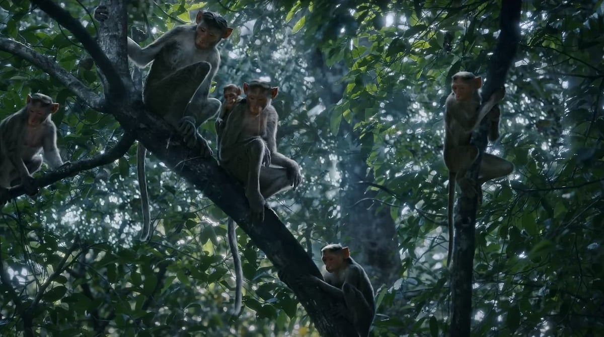 ‘Poacher’ Review: Alia Bhatt-Backed Series on Poaching Is Raw ...