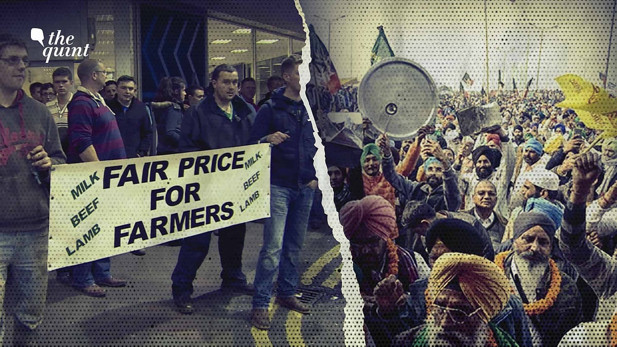 ‘Even on MSP, but Issues Vary’: As Farmers Protest Globally, India ...