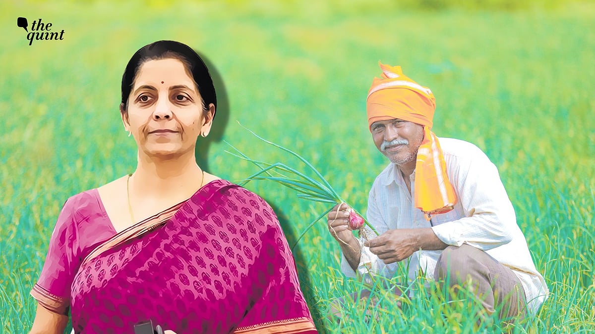 Union Budget 2024: Sitharaman's Focus on Annadata & Farmers' Welfare