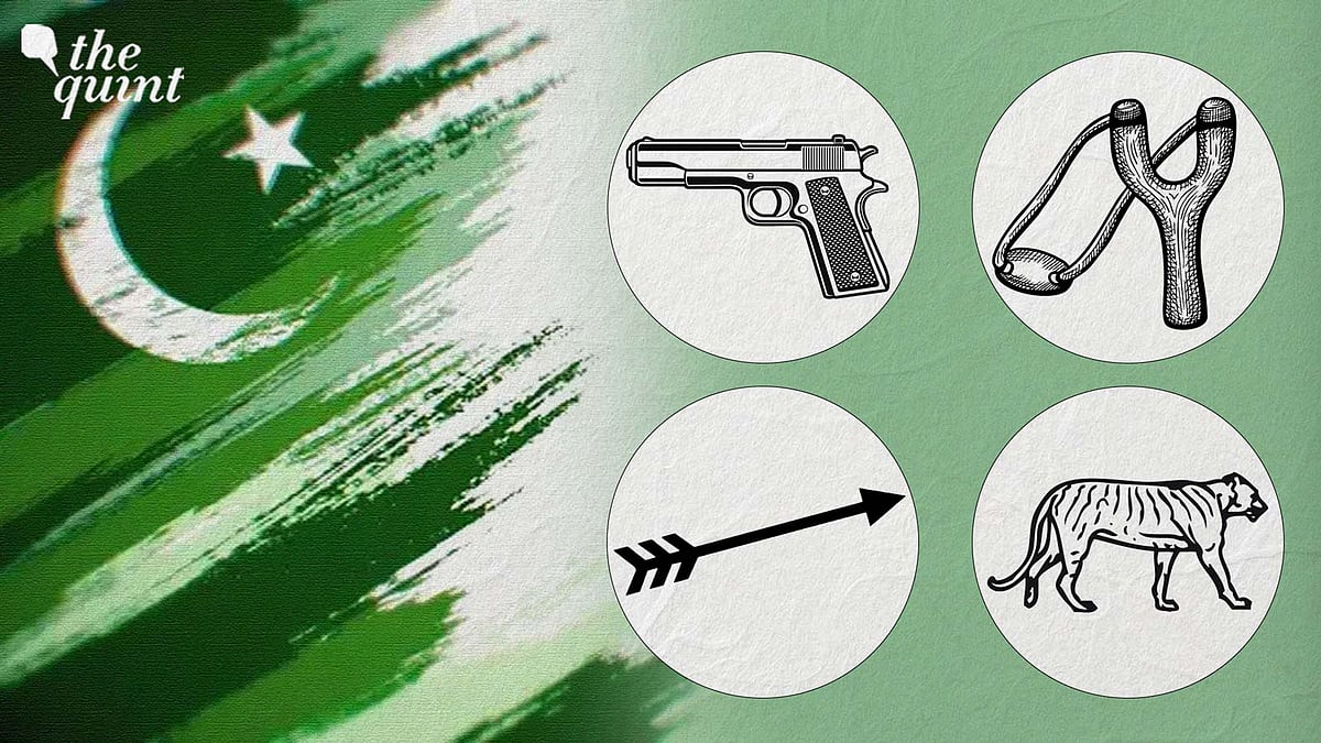 Horses, Eggplants & Hukkahs: For Pakistan Elections, Party Logos Matter ...
