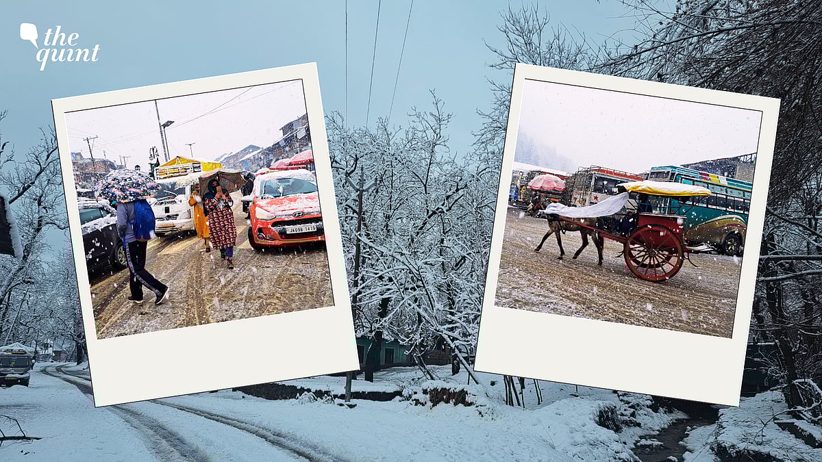 Photos: Jammu and Kashmir Receive Season's First Snowfall After Long ...