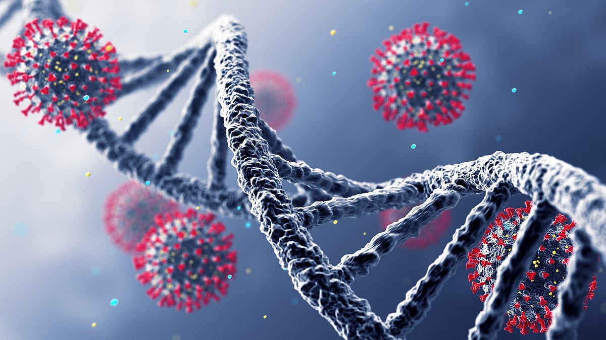 First Death Due to Alaskapox Reported: What Are the Symptoms? How Does ...