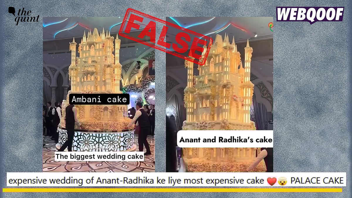 Fact-check | No, This Video of a Huge Castle Cake Is Not From Ambani ...