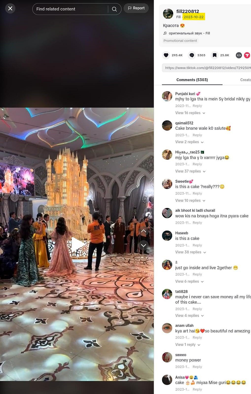 Fact-check | No, This Video of a Huge Castle Cake Is Not From Ambani ...