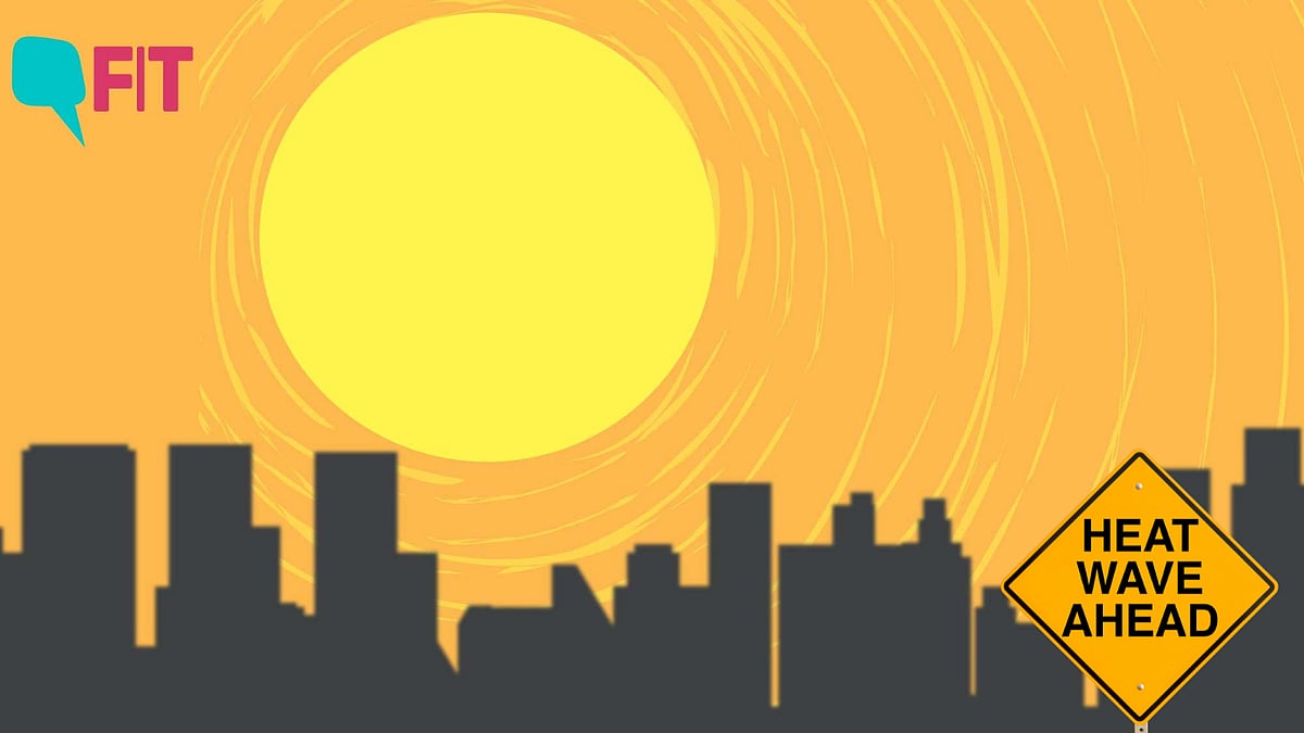 IMD Sounds Alarm About Heat Waves in India: Centre, Karnataka Govt ...