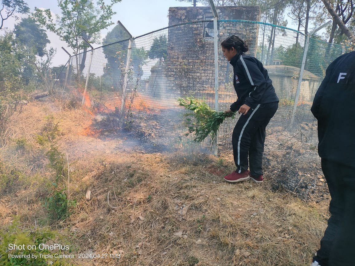Uttarakhand Forest Fires Explained: Over 140 Hectares of Forest Land ...