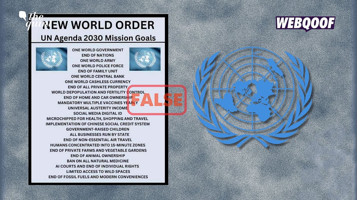Fact-Check: Fake Graphic Viral as United Nations’ 2030 Agenda for ‘New ...