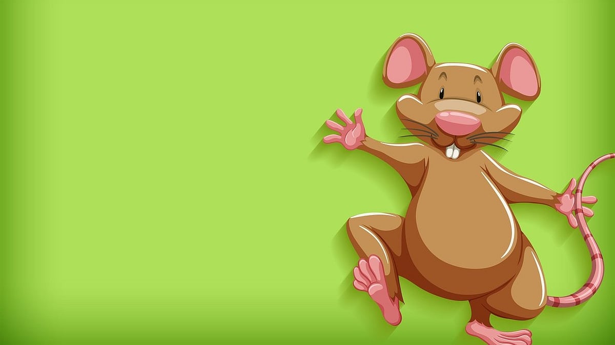 World Rat Day 2024: Date, Theme, History, Significance, Activities, and ...