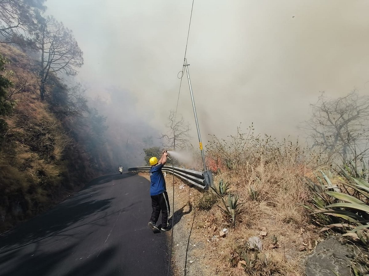 Uttarakhand Forest Fires Explained: Over 140 Hectares of Forest Land ...