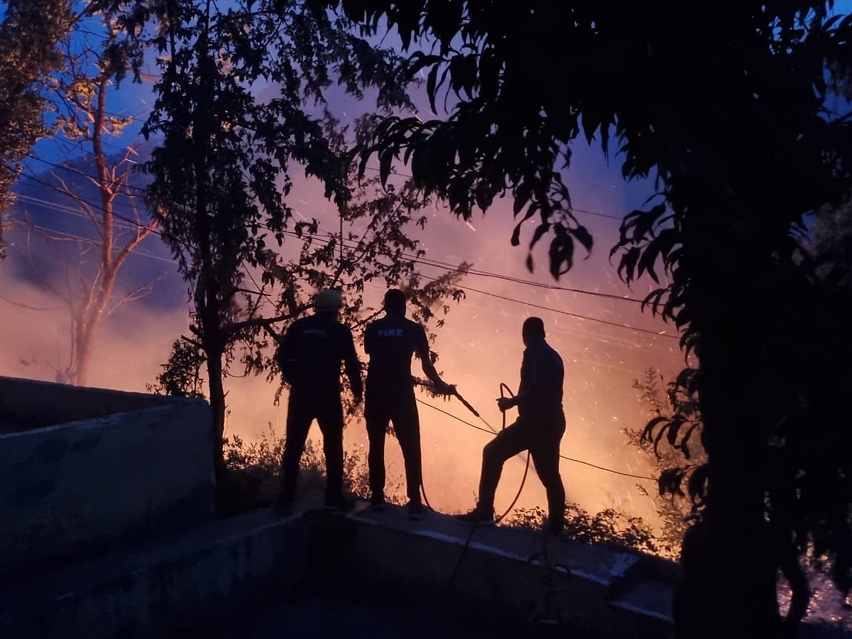 Uttarakhand Forest Fires Explained: Over 140 Hectares of Forest Land ...