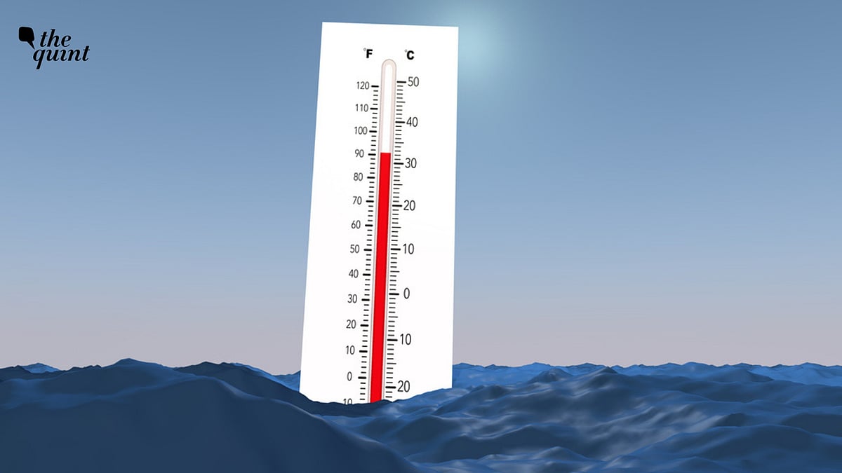 Explained | Marine Heat Waves in Oceans Are Increasing: Here’s Why It ...