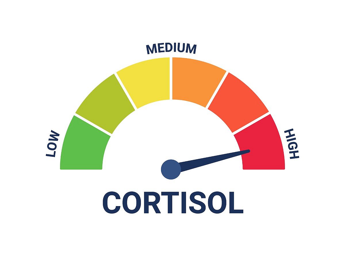 Tips To Reduce Cortisol Levels Naturally