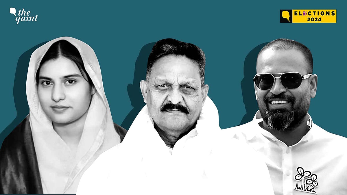 Lok Sabha Election Results 2024: 24 Muslims Elected Even as Parties ...