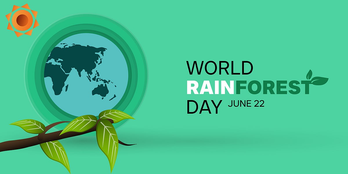 World Rainforest Day 2024: Date, Theme, History, Significance ...
