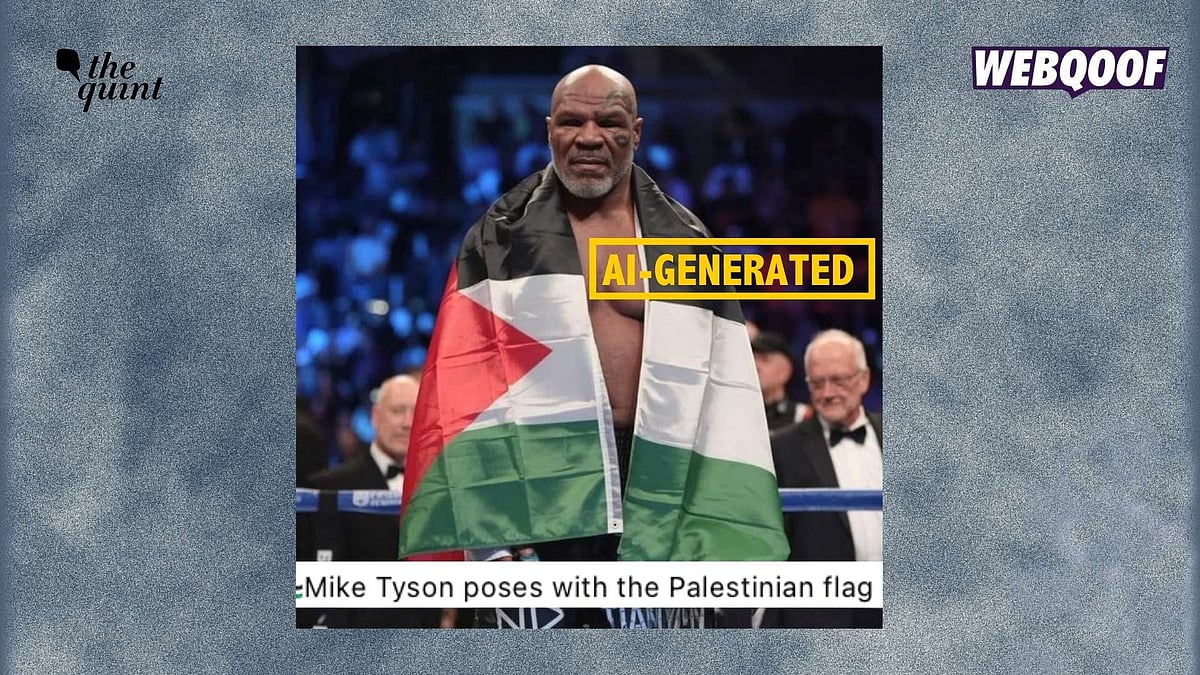 Fact-Check: Did Mike Tyson Drape Palestinian Flag Around Himself? No ...